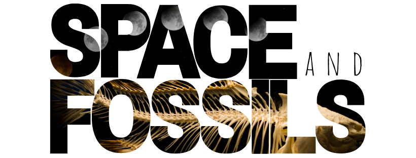 Space & Fossils